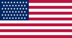 Flag of USA (51 stars) | The Flag Institute